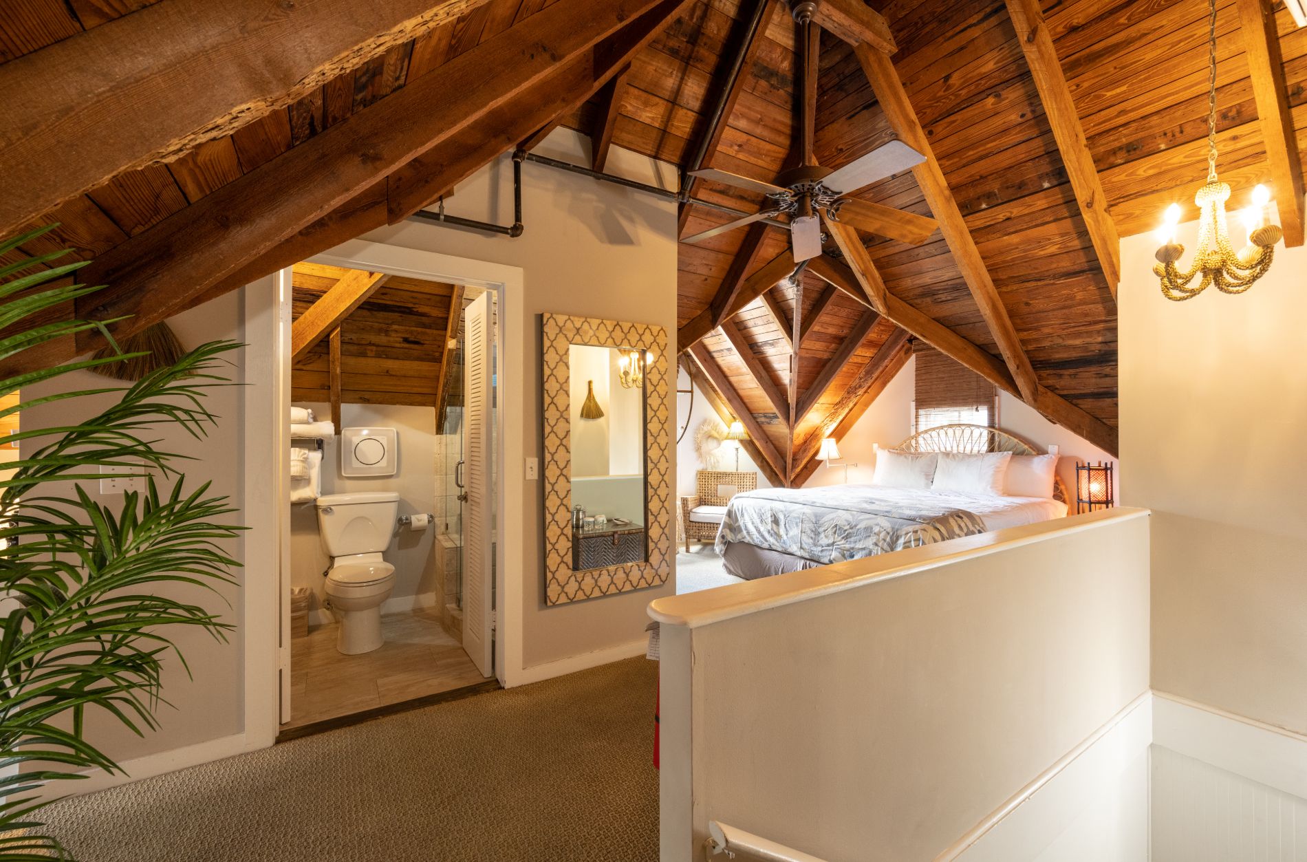 Comfortable Accommodations in The Keys | The Mermaid & The Alligator