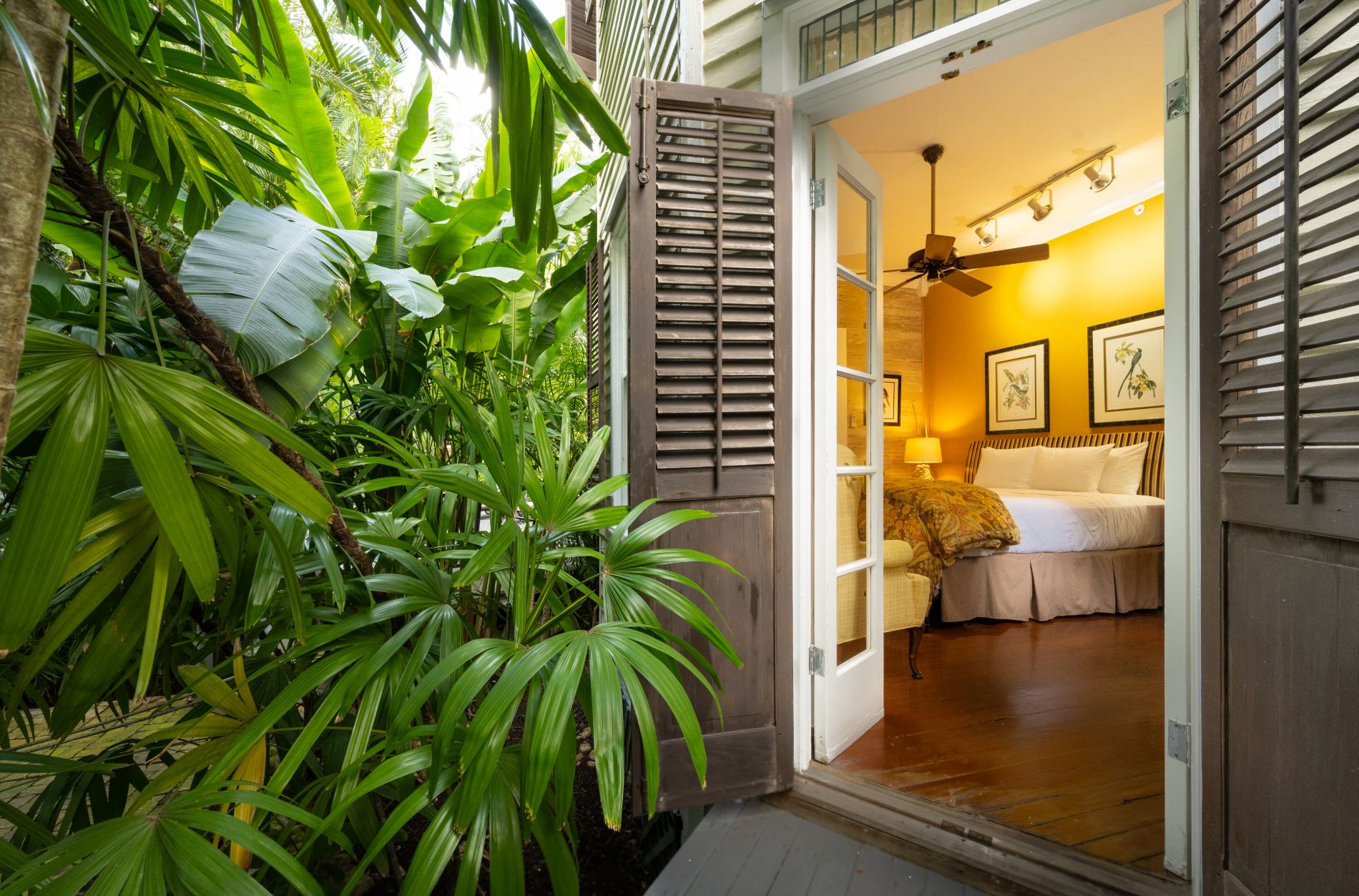 Comfortable Accommodations in The Keys | The Mermaid & The Alligator